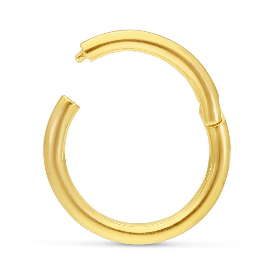 18k Hinged Ring - Wildcat Deutschland