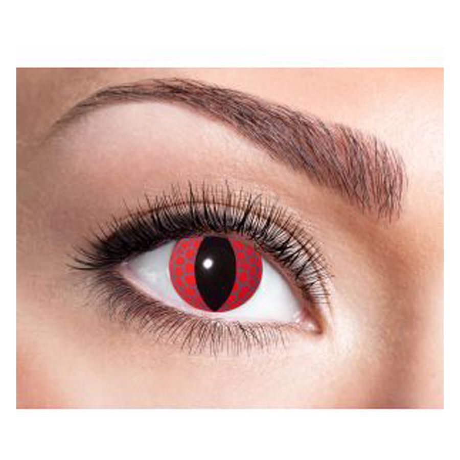 Red Dragon › Wildcat International