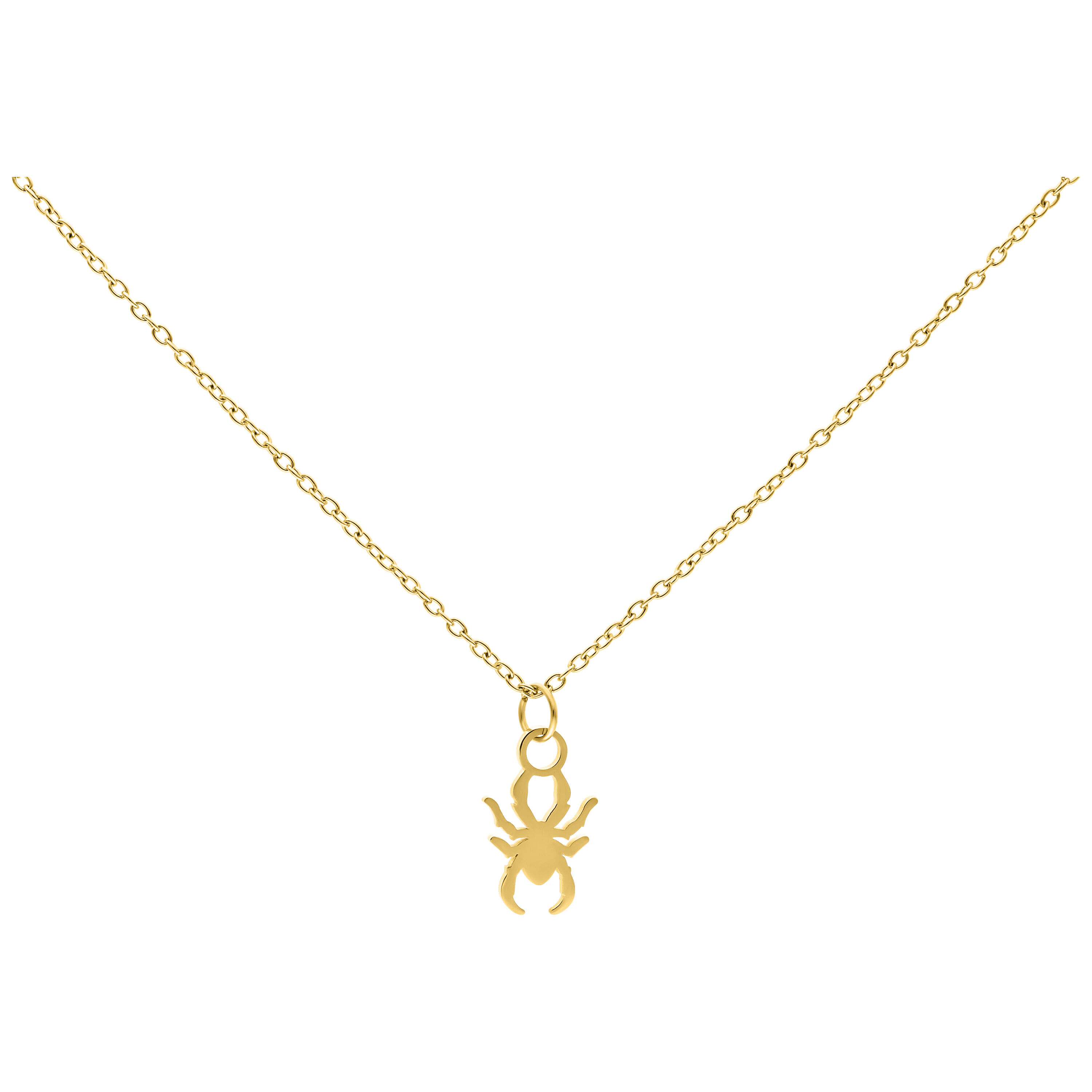 Little Spider Necklace › Wildcat International